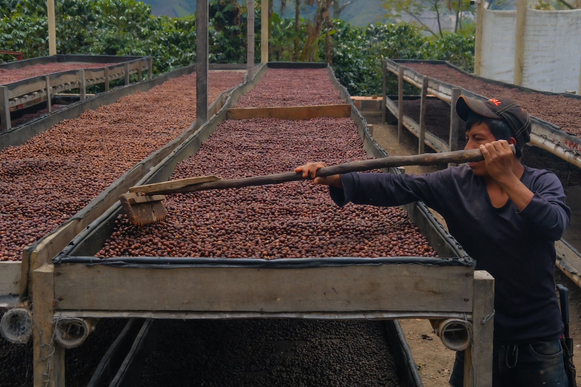 ABOUT – HEX Coffee Roasters